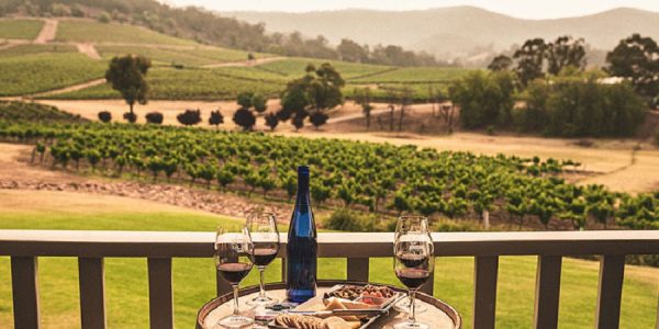 Exploring the Excellence of Ivanhoe Wines: A Journey through Hunter ...