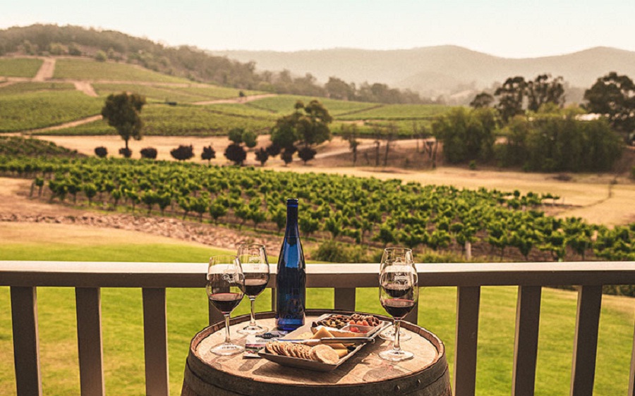 Exploring the Excellence of Ivanhoe Wines: A Journey through Hunter ...